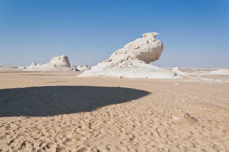 El Bahariya Oasis and white desert 2 nights, 3 days