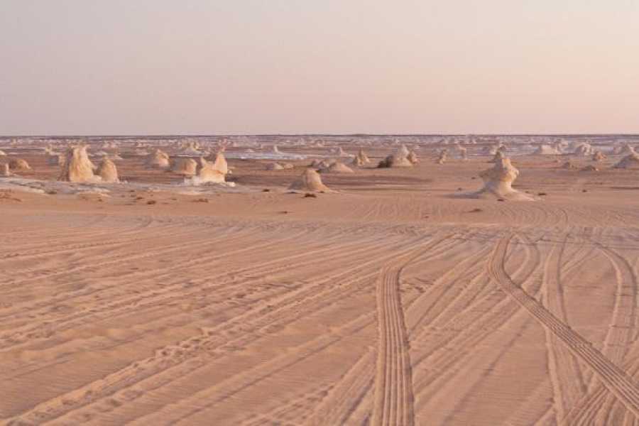 El Bahariya Oasis and white desert 2 nights, 3 days
