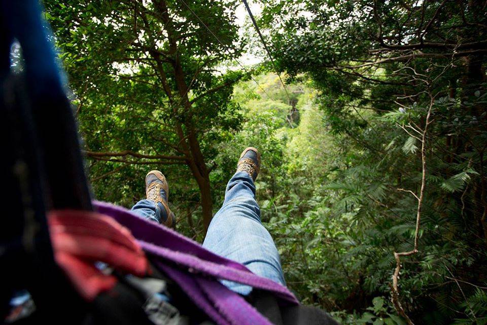 Canopy Monkey Sanctuary Combo - Tour Guanacaste, bringing Costa Rica to ...