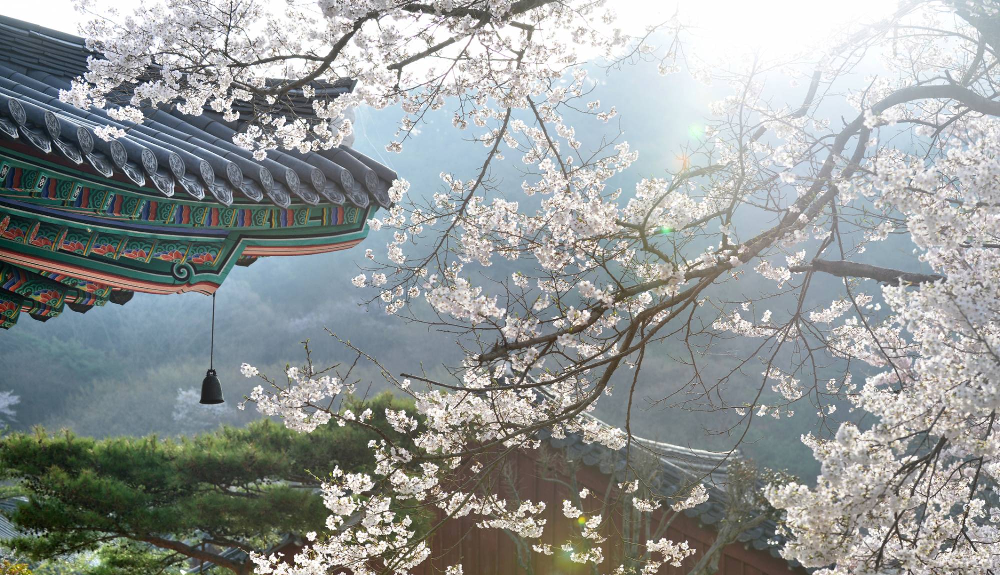 Western Korea 4days [Discover Korea ] (Saturday departure) - JSA(Joint ...