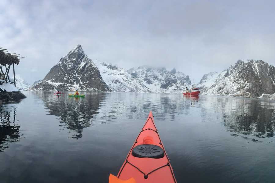 Extended experiences: Reine Aktiviteter // Catogården & Reine Paddling ...