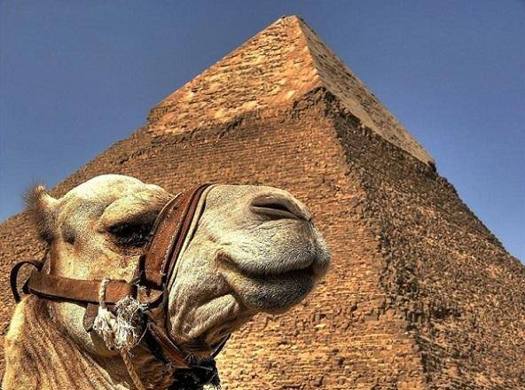 From Soma Bay to Cairo overnight tour by bus