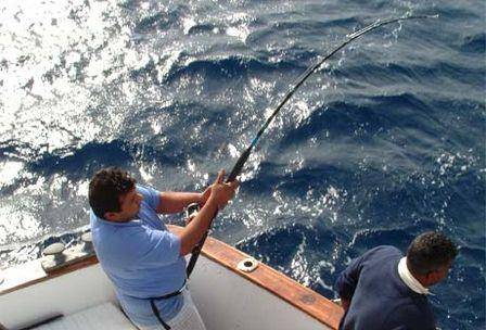 Fishing tour from Soma Bay