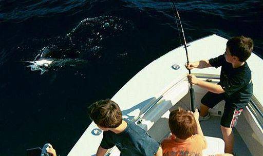 Fishing tour from Soma Bay