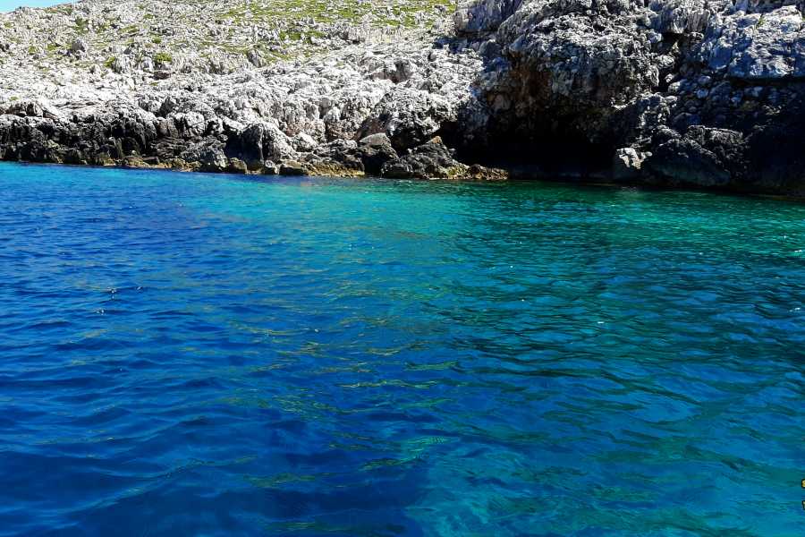 Biglietto Gommone Isola Di Sazan , Grotta Di Haxhi Ali & Spiaggia A ...