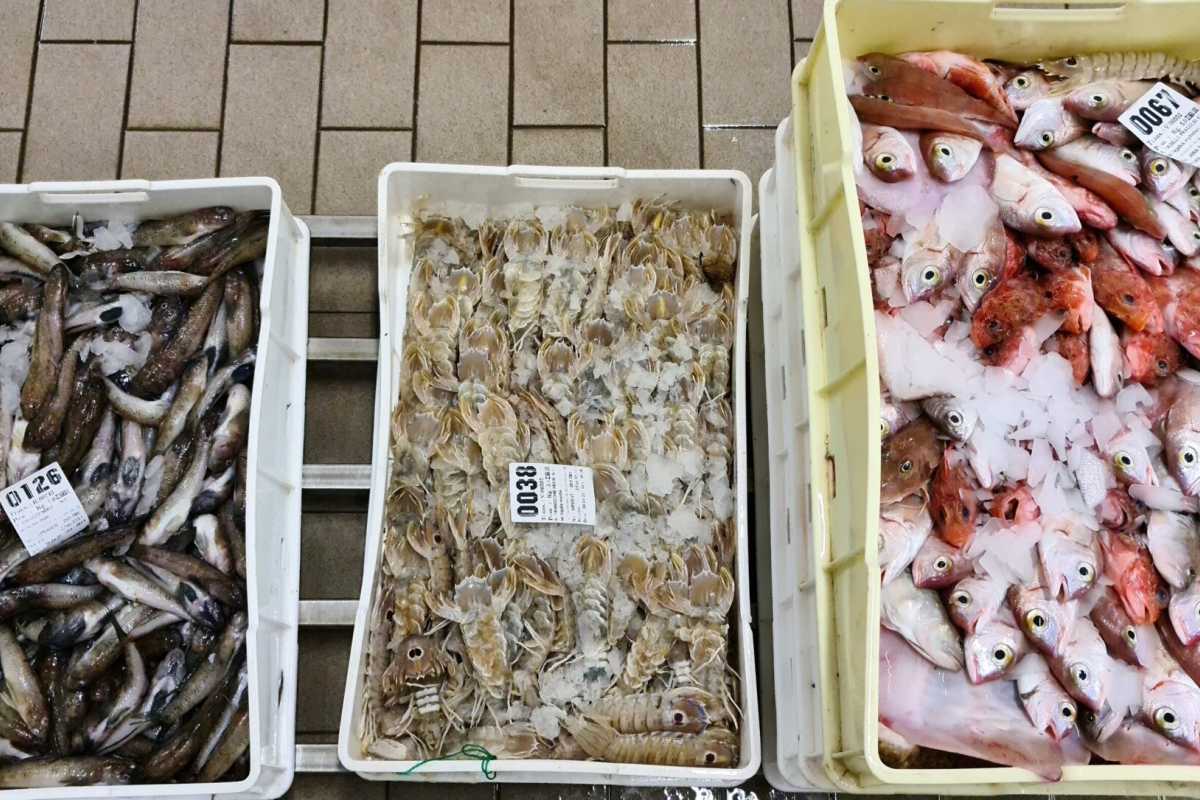 La "Borsa del pesce": un'alba insolita | Emilia Romagna Welcome
