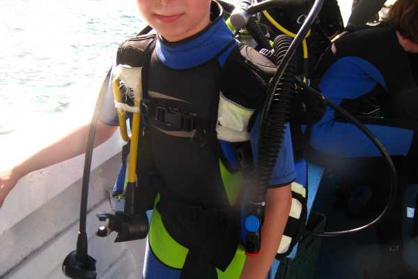 2 Tank Boat Dive for Beginners, Acapulco - Palmitas - TrekkMarket