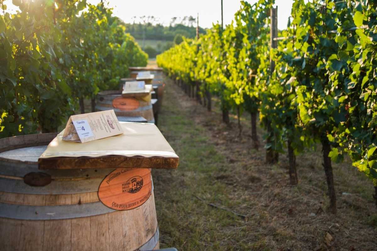 The Wine Trail between Dozza and Imola: Visit to the Poderi delle ...