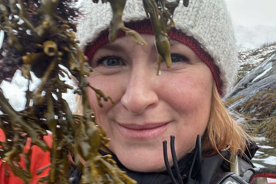 Welcome to Reine Paddling! - Winter Kayaking in Lofoten - Explore ...