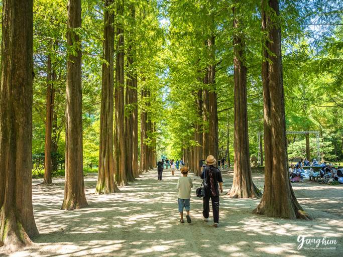[KBR CTR] Nami Island Tour - JSA(Joint Security Area) & DMZ Tour