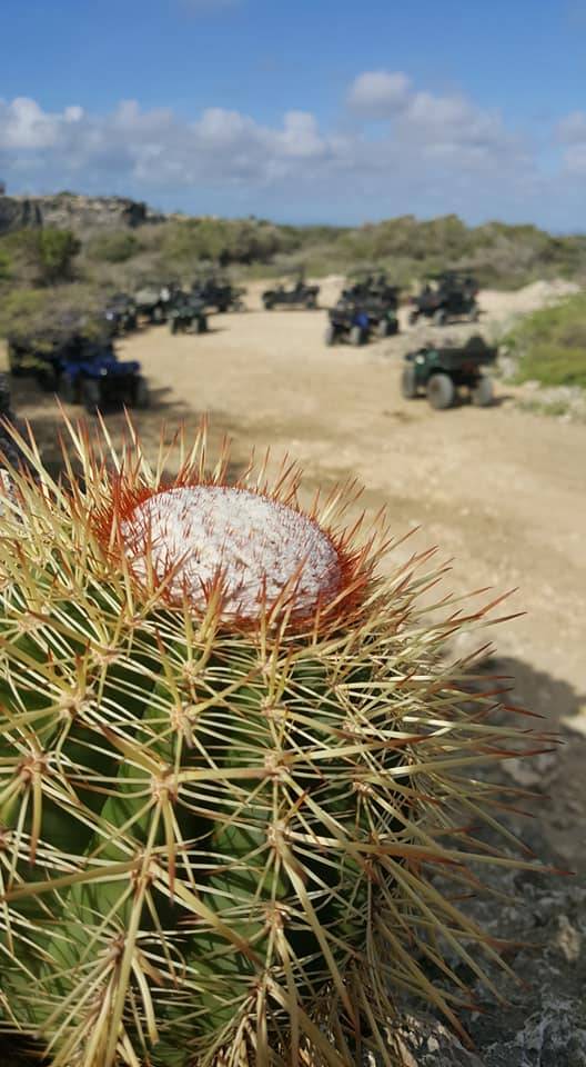 ATV East Coast Adventures - Rento Fun Adventures