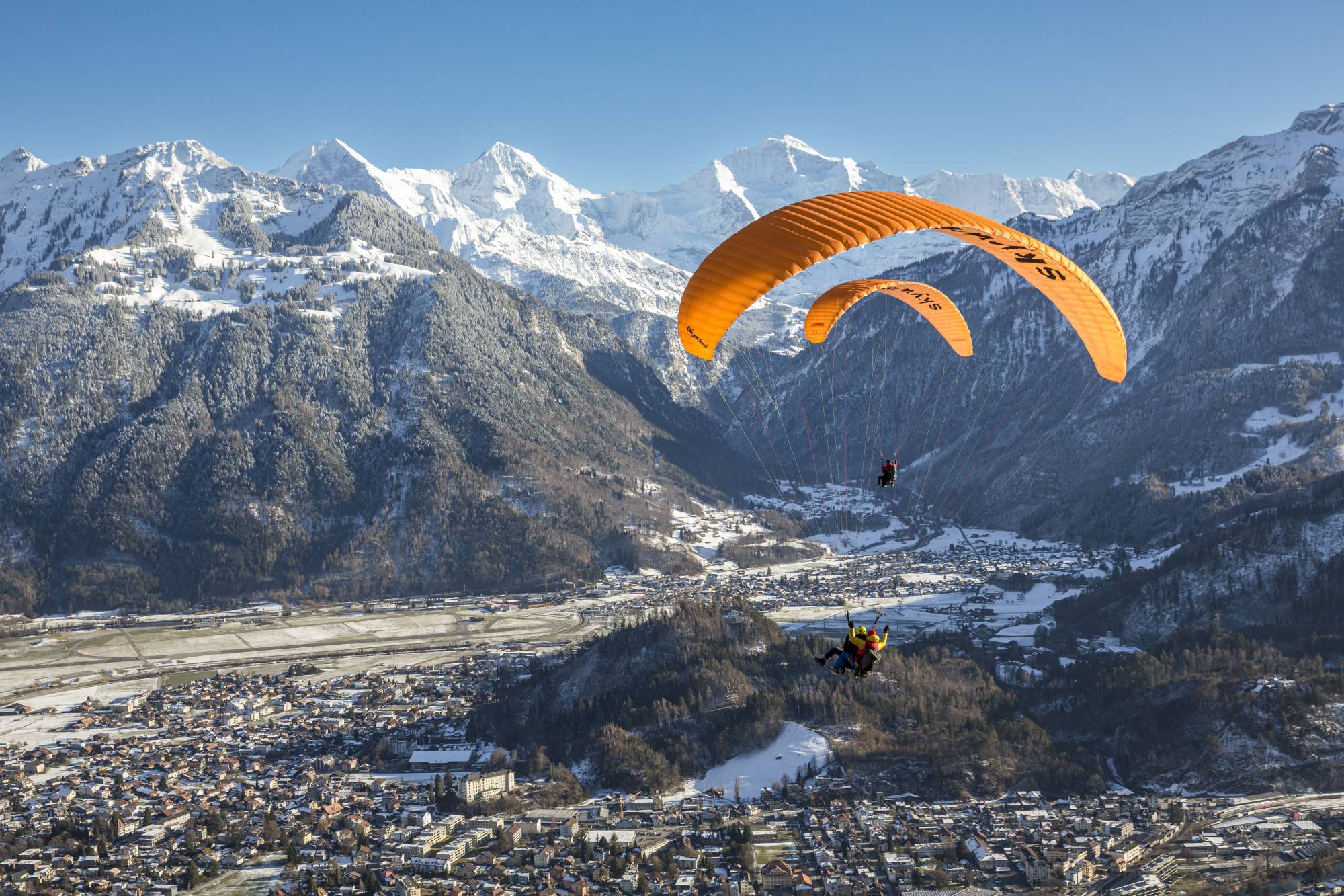 Skywings Paragliding - The Golden Eagle - Skywings