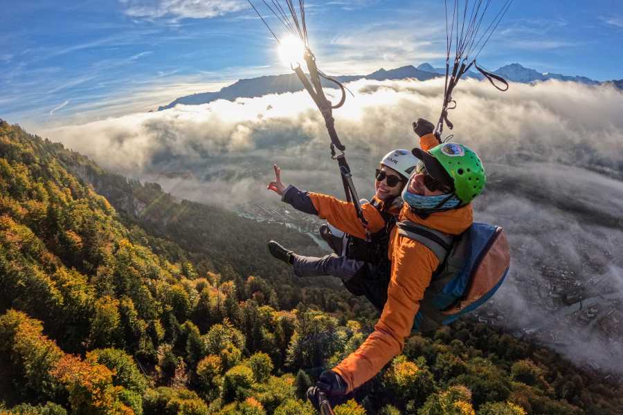 Skywings Paragliding - The Golden Eagle - Skywings