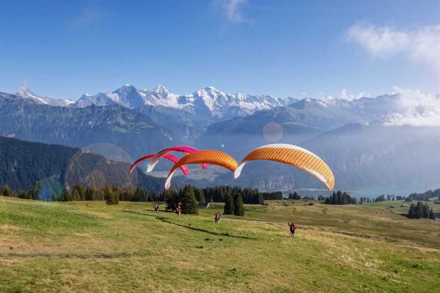 Skywings Paragliding - The Golden Eagle - Skywings