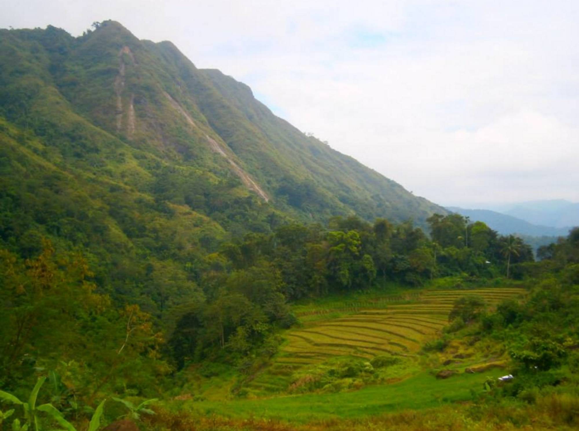 Mt. Napulauan/Traverse Hike - Benj's Touring Services