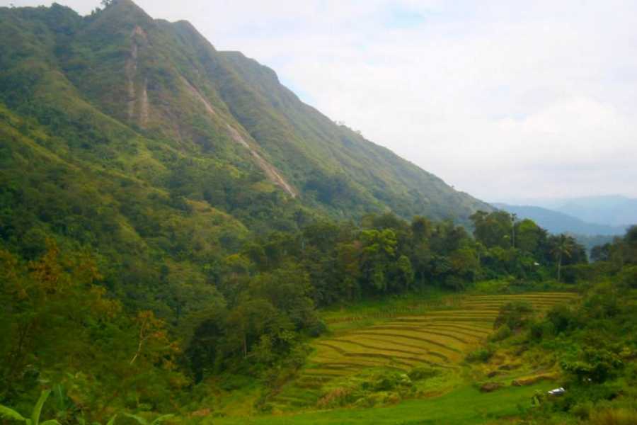 Mt. Napulauan/Traverse Hike - Benj's Touring Services