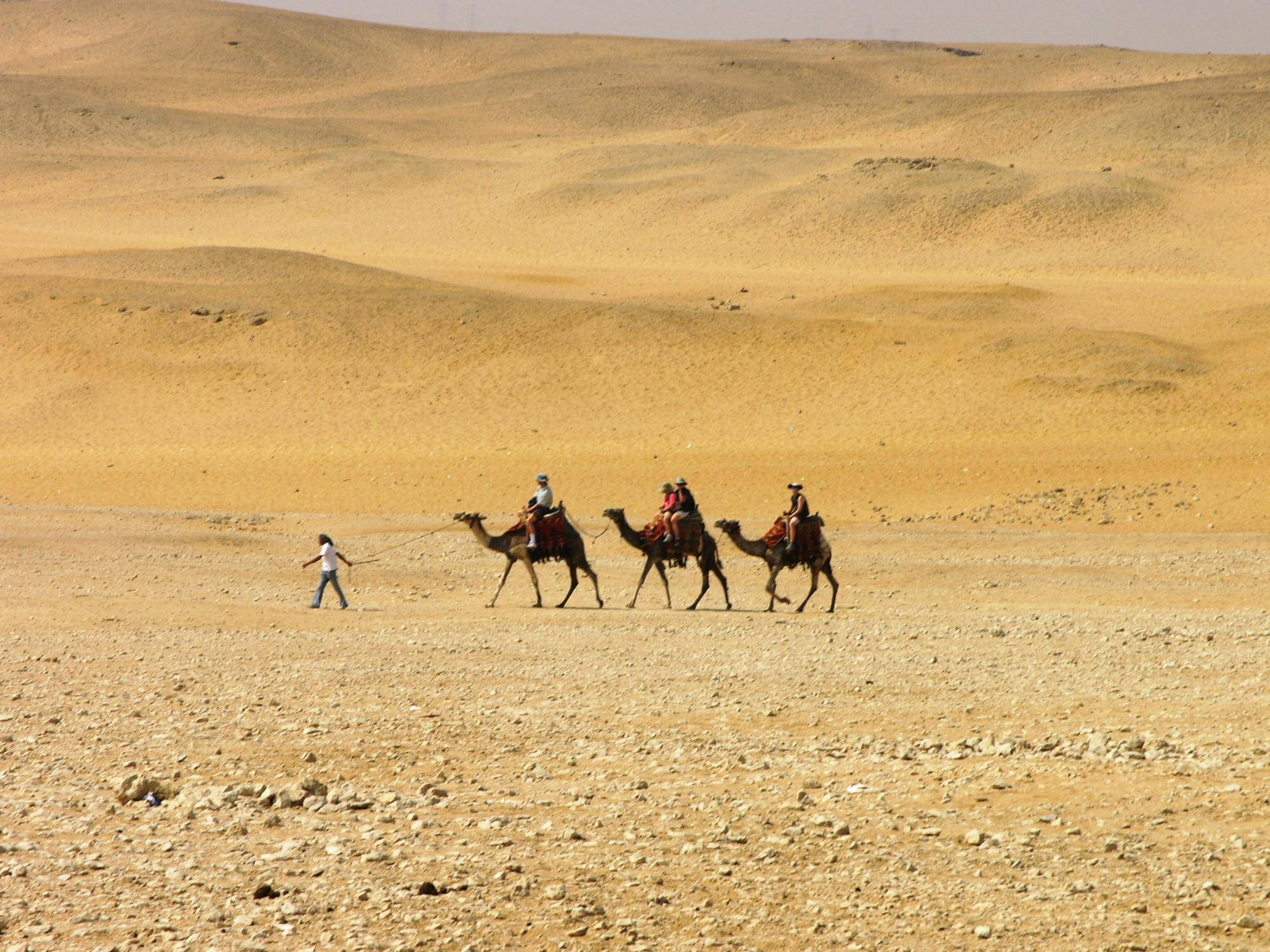 Half Day sightseeing to Pyramids of Giza and Sphinx