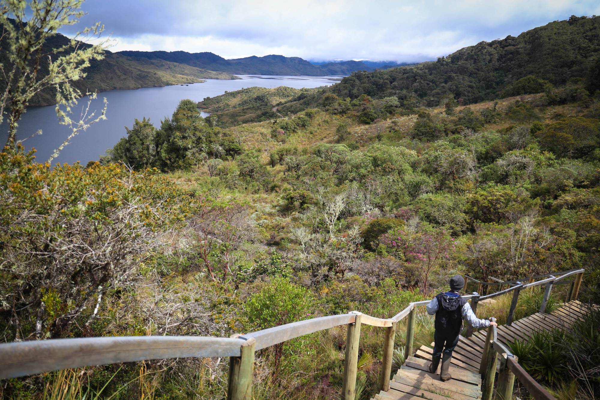 Chingaza Wildlife Páramo Adventure - Andes EcoTours