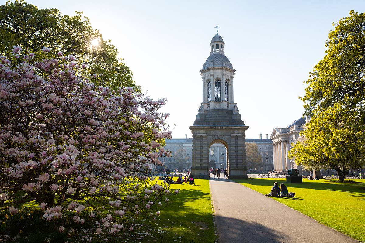 2-hour Dublin Highlights Private Tour, Barnardo Square - TrekkMarket