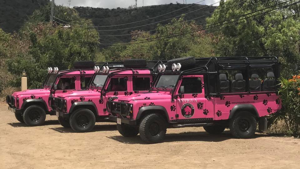 Pink Panther Expedition - Hilary Transfers and Tours, St. Lucia