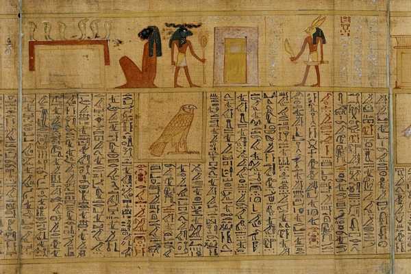 Papyrus Manufacturing Tour and learn Papyrus making in Egypt - Emo ...