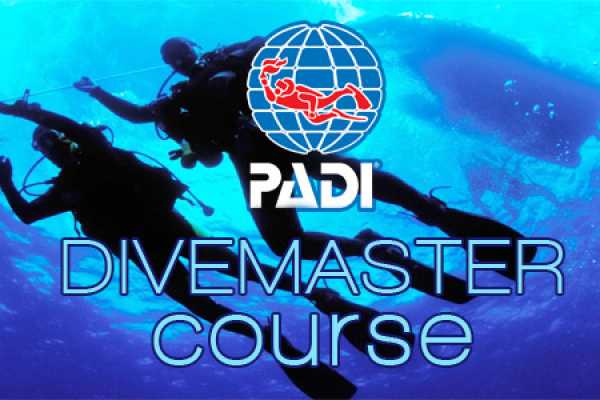 PADI Divemaster, Willemstad - TrekkMarket