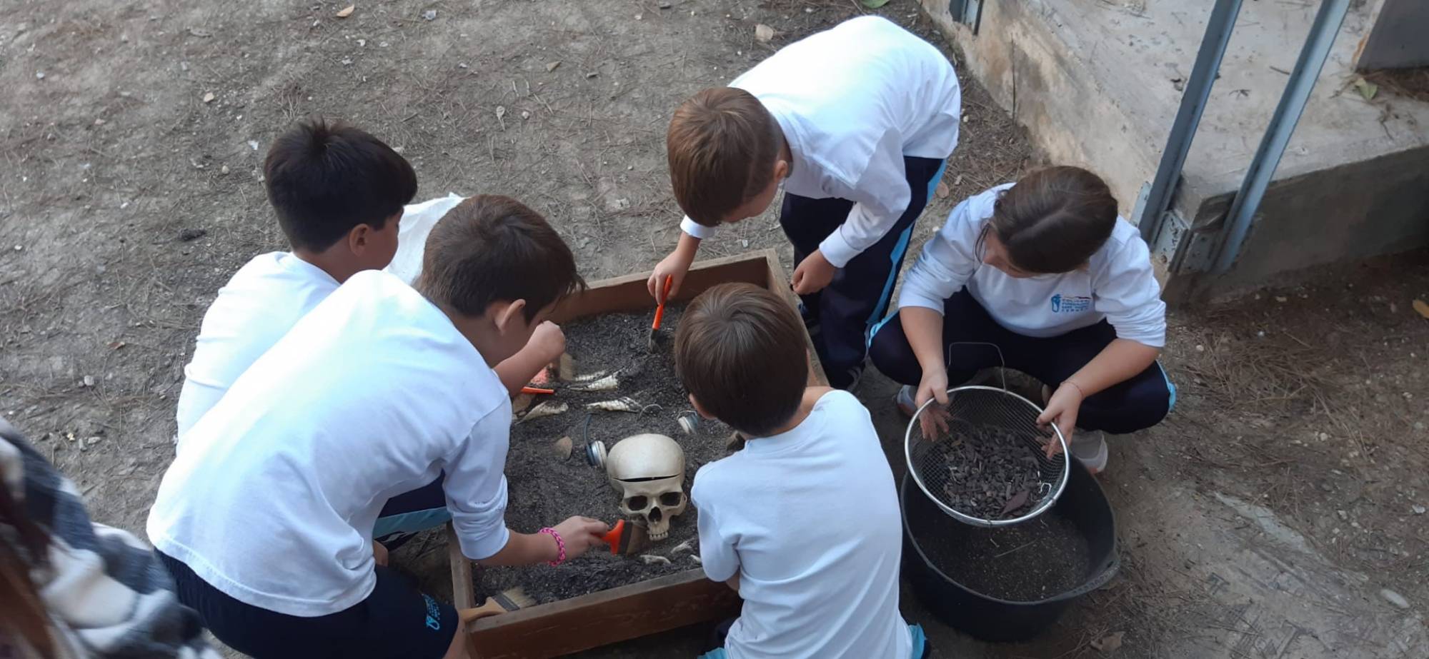 Arqueología Viva (Actividades para el aula), Valencia - TrekkMarket