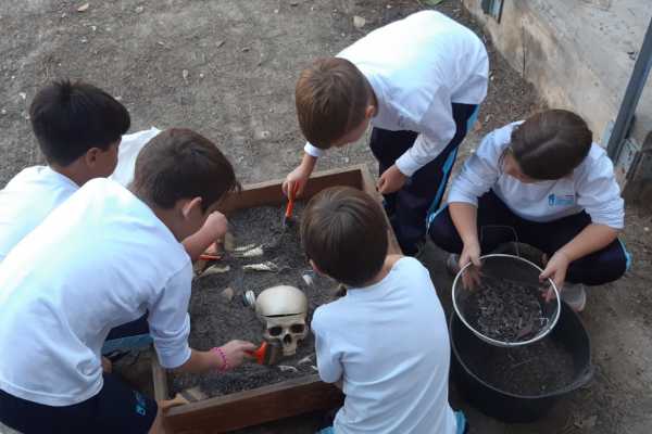 Arqueología Viva (Actividades para el aula), Valencia - TrekkMarket