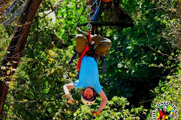 Original Canopy & Monkey Sanctuary Combo - Welcome to the Congo Canopy ...