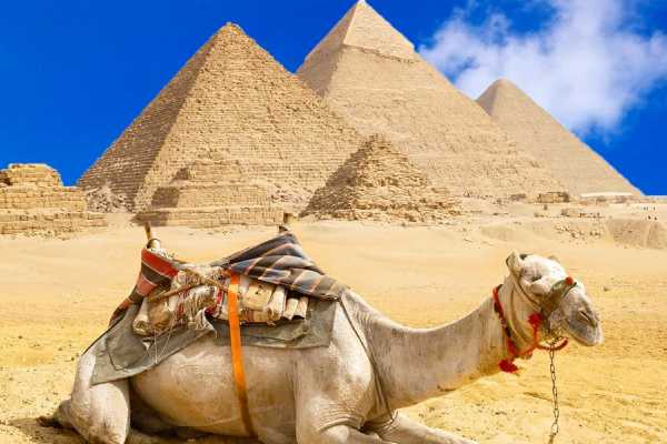 Private package tour Saadia chaudhry - Emo Tours Egypt: Unforgettable ...