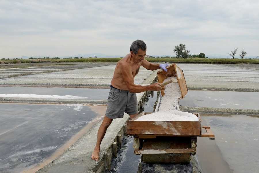 Salt-Walk through the salt pan - Cervia In