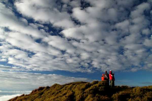 Mt. Pulag / Akiki Trail Hike - Benj's Touring Services