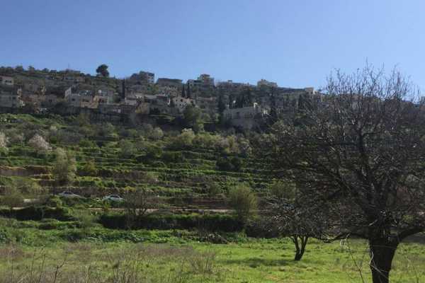 6 May 2018, Sunday. Battir Sunset Hike - Welcome to Palestine