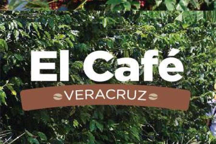 EL CAFÉ VERACRUZ - PAQUETE 3 DÍAS Y 2 NOCHES EN VERACRUZ - Tours y ...
