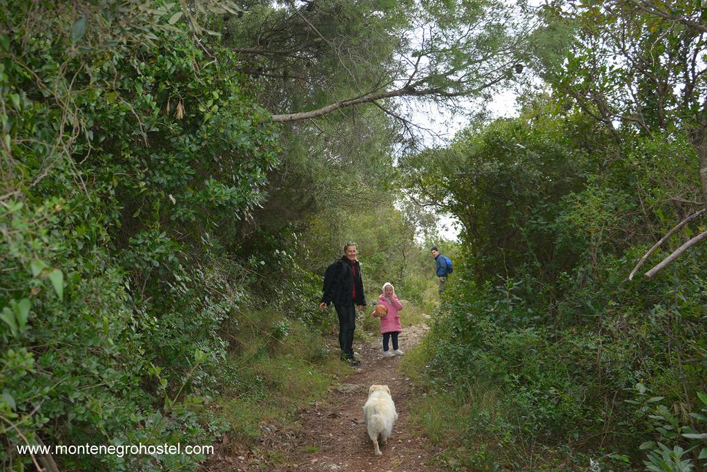 ACTIVITIES ON DEMAND WITH MH TRAVEL - MH Travel Agency