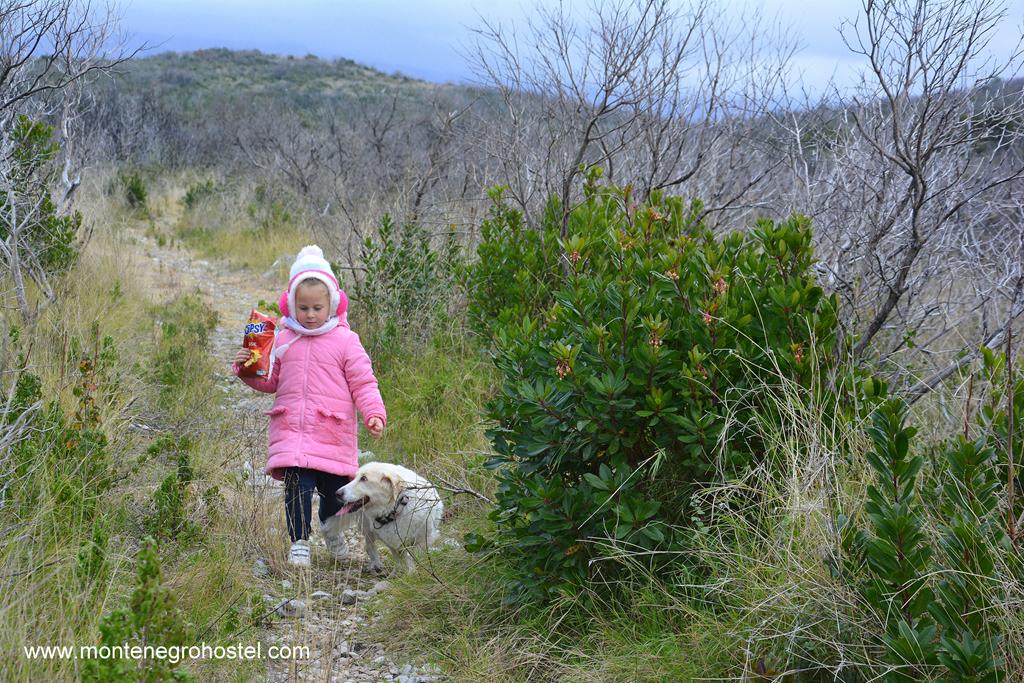 ACTIVITIES ON DEMAND WITH MH TRAVEL - MH Travel Agency